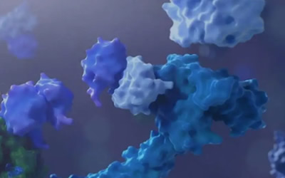 新药专题 | 新药网